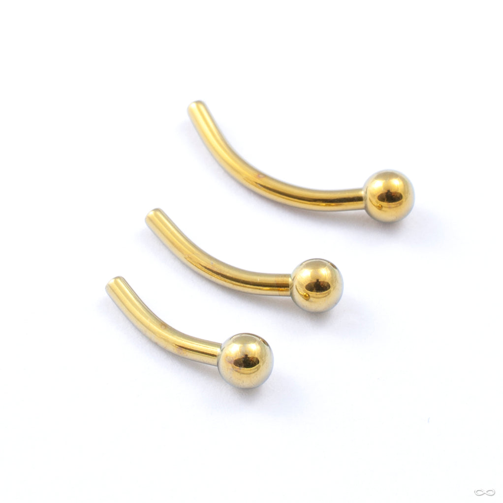 Curved Press-fit Post in Titanium Anodized Gold from Neometal ...