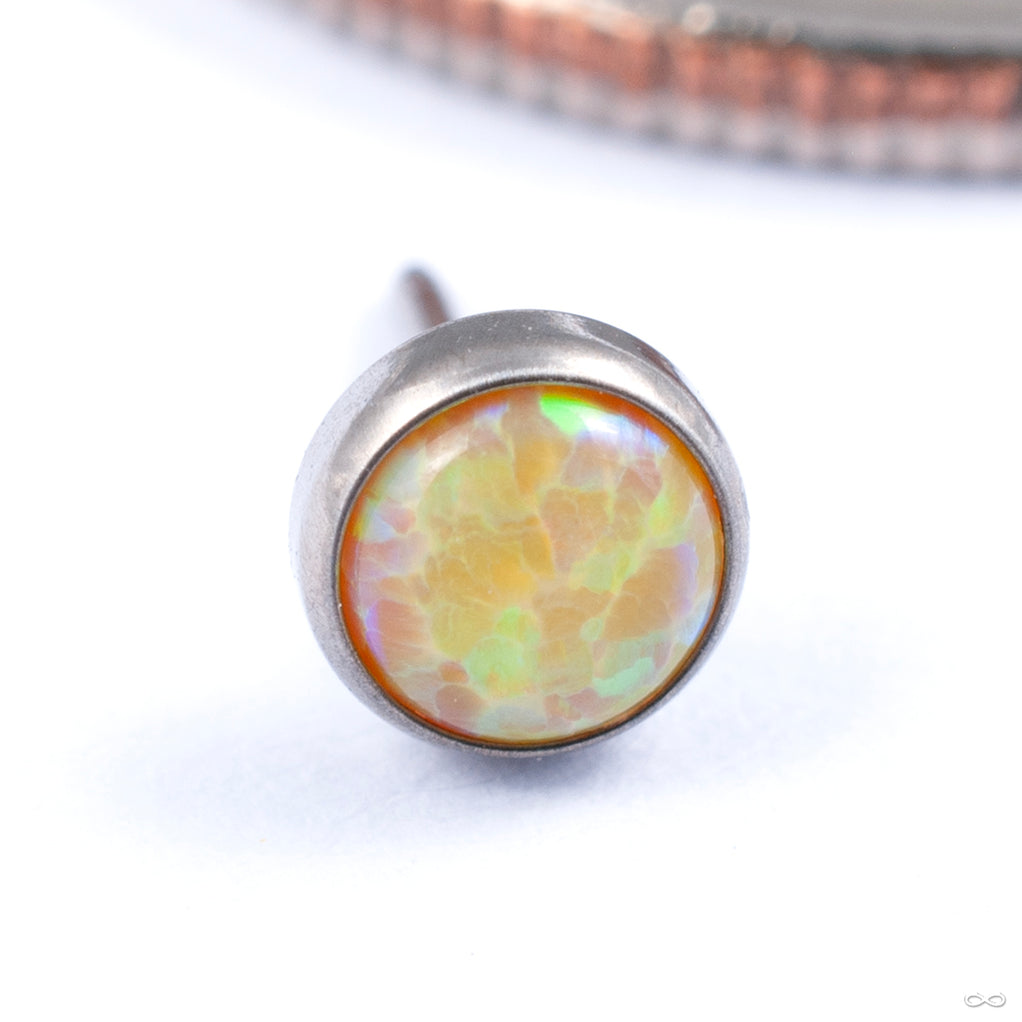 Bezel-set Cabochon Press-fit End in Titanium from NeoMetal — Infinite ...