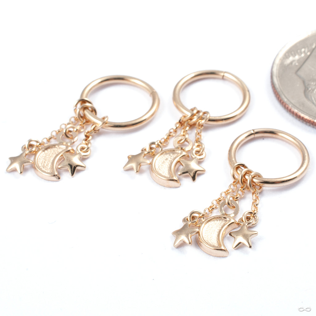 Rings & Clickers — Infinite Body Piercing, Inc.