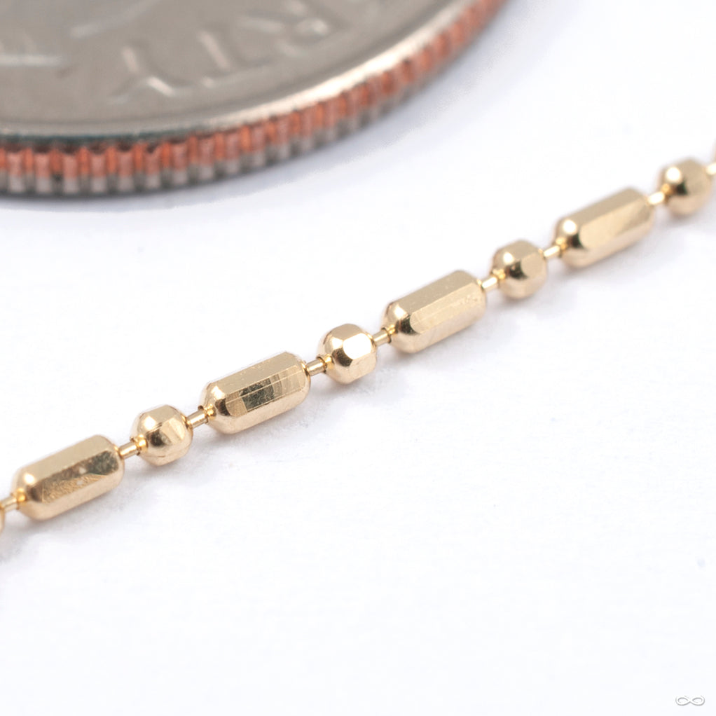 Cleo Beaded Lynx Chain in Gold from Pupil Hall — Infinite Body Piercing ...