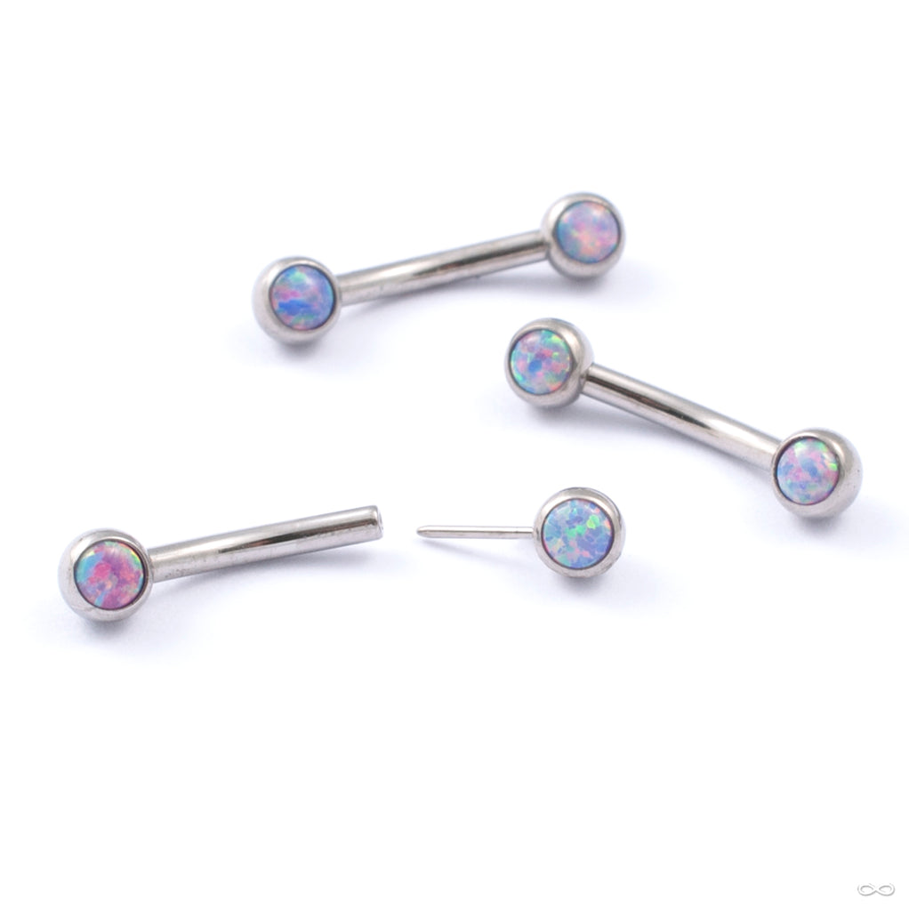 Eyebrow Piercing — Infinite Body Piercing, Inc.