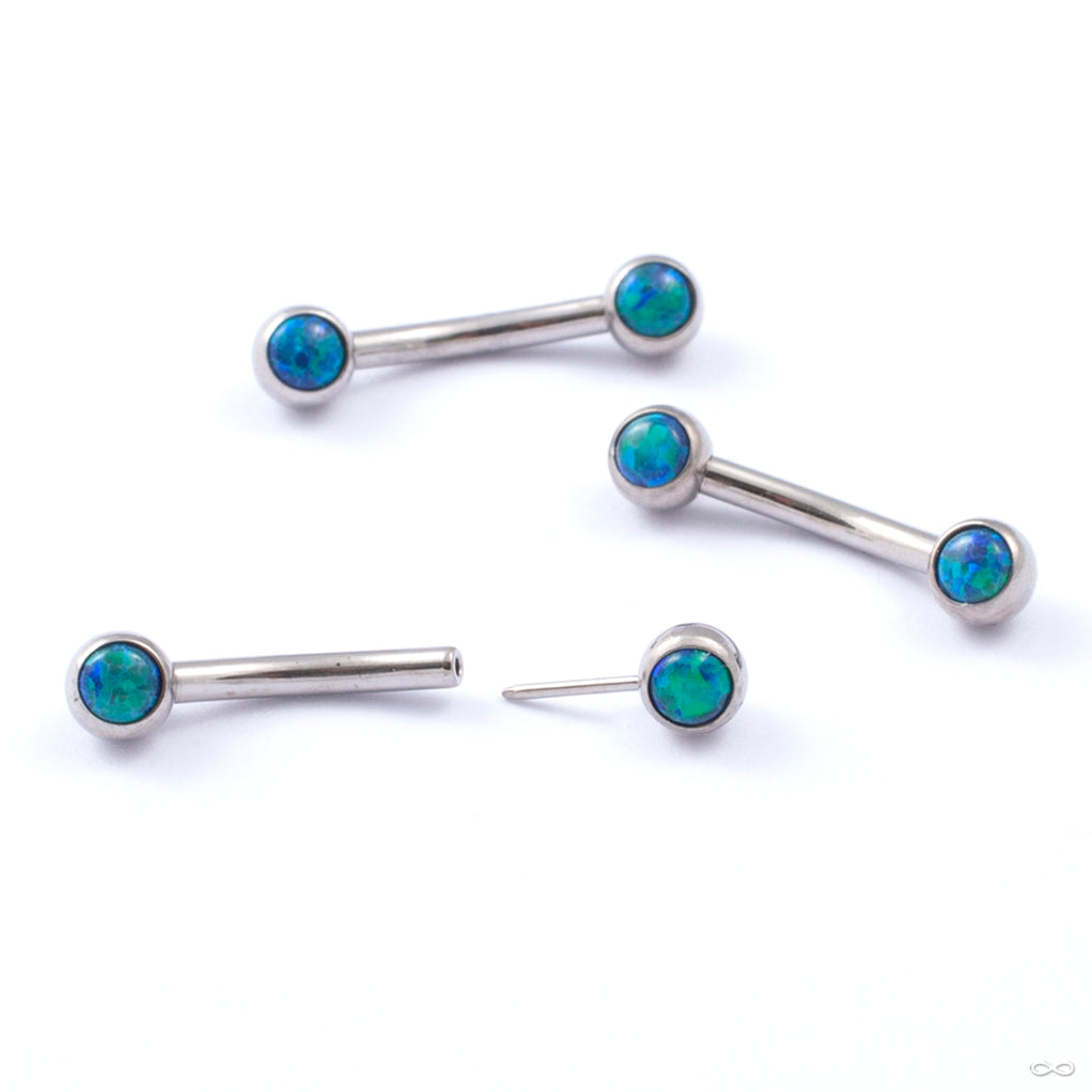 Eyebrow Piercing — Infinite Body Piercing, Inc.