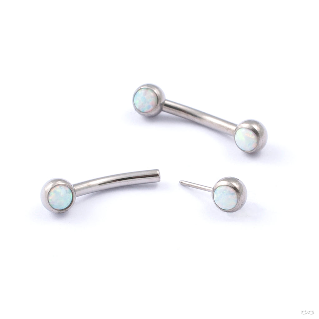 Eyebrow Piercing — Infinite Body Piercing, Inc.