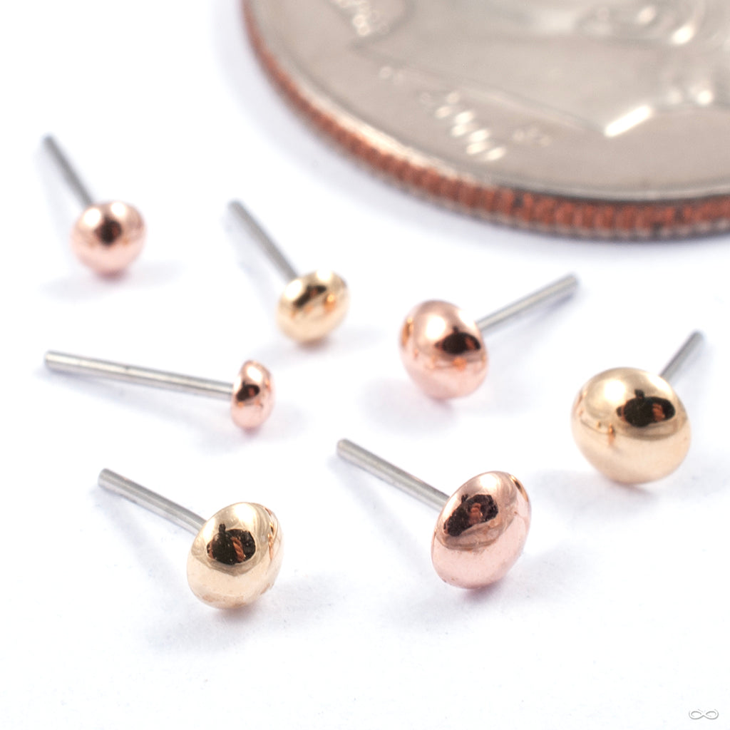 Dome Press-fit End in Gold from LeRoi — Infinite Body Piercing, Inc.