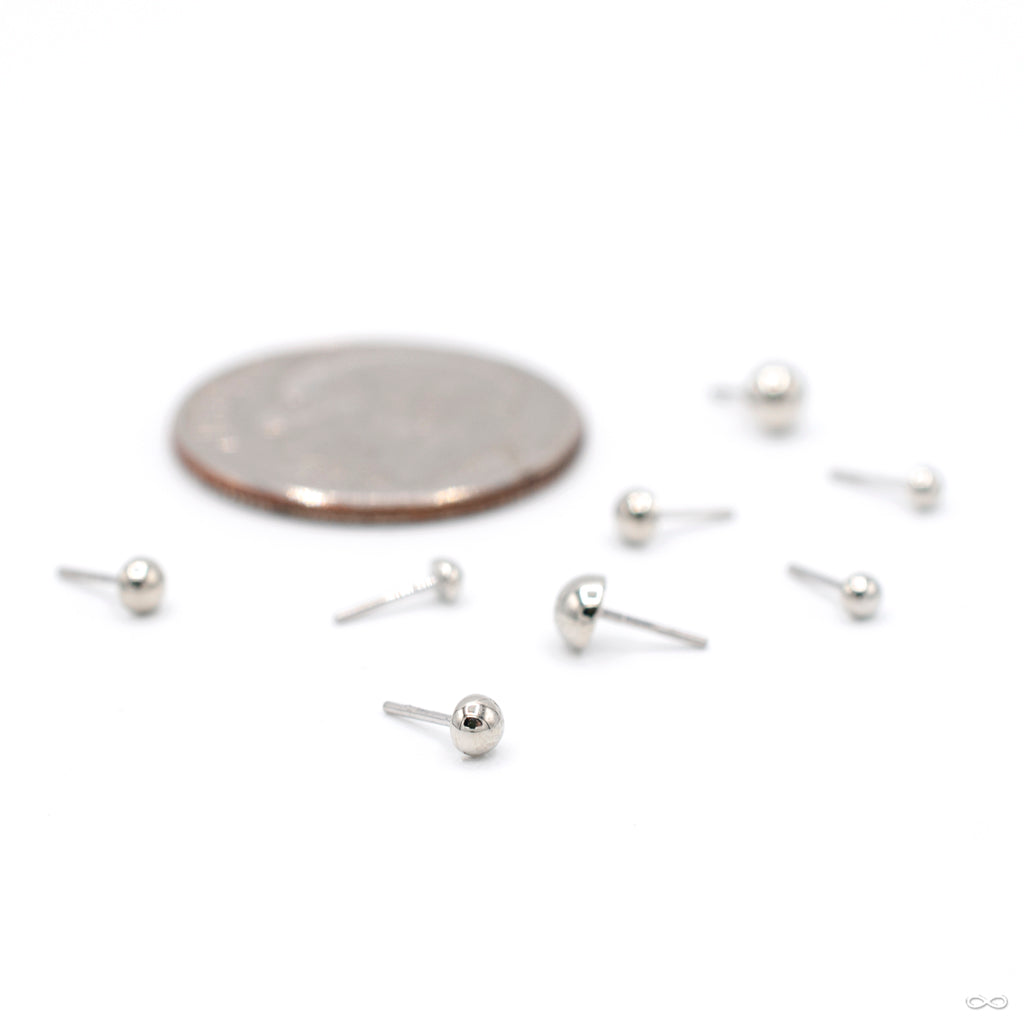 Dome Press-fit End in Gold from Anatometal — Infinite Body Piercing, Inc.