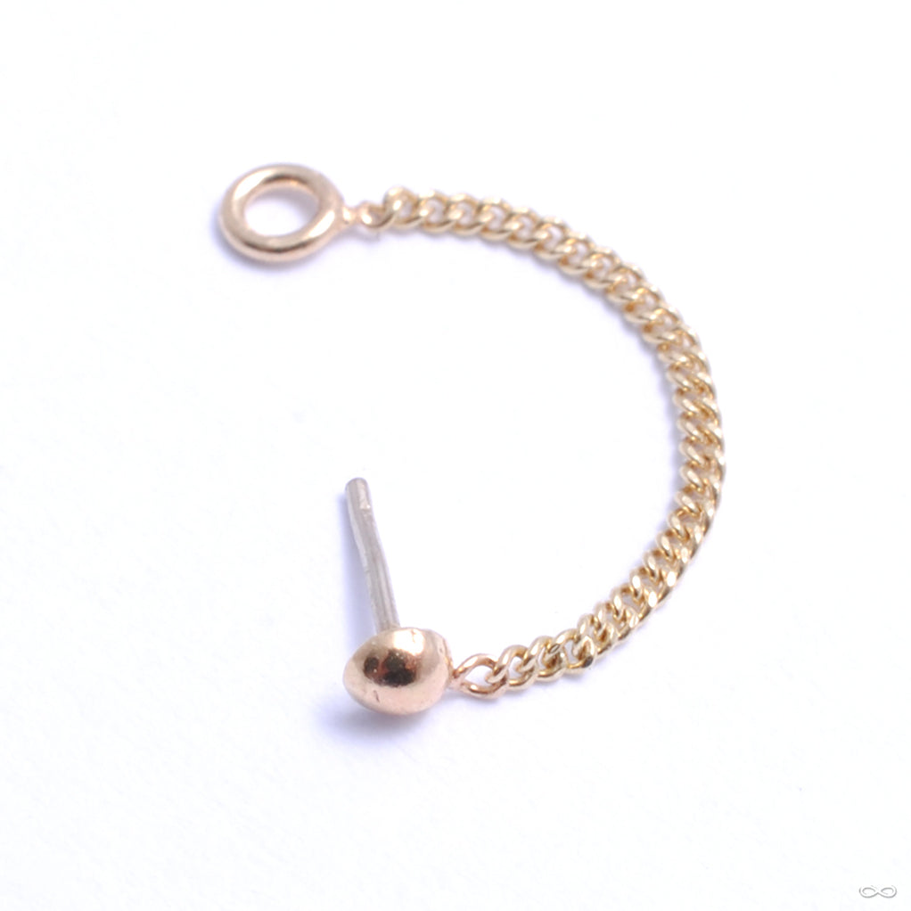 Dottie with Mini Lasso Press-fit End in Gold from Pupil Hall — Infinite ...
