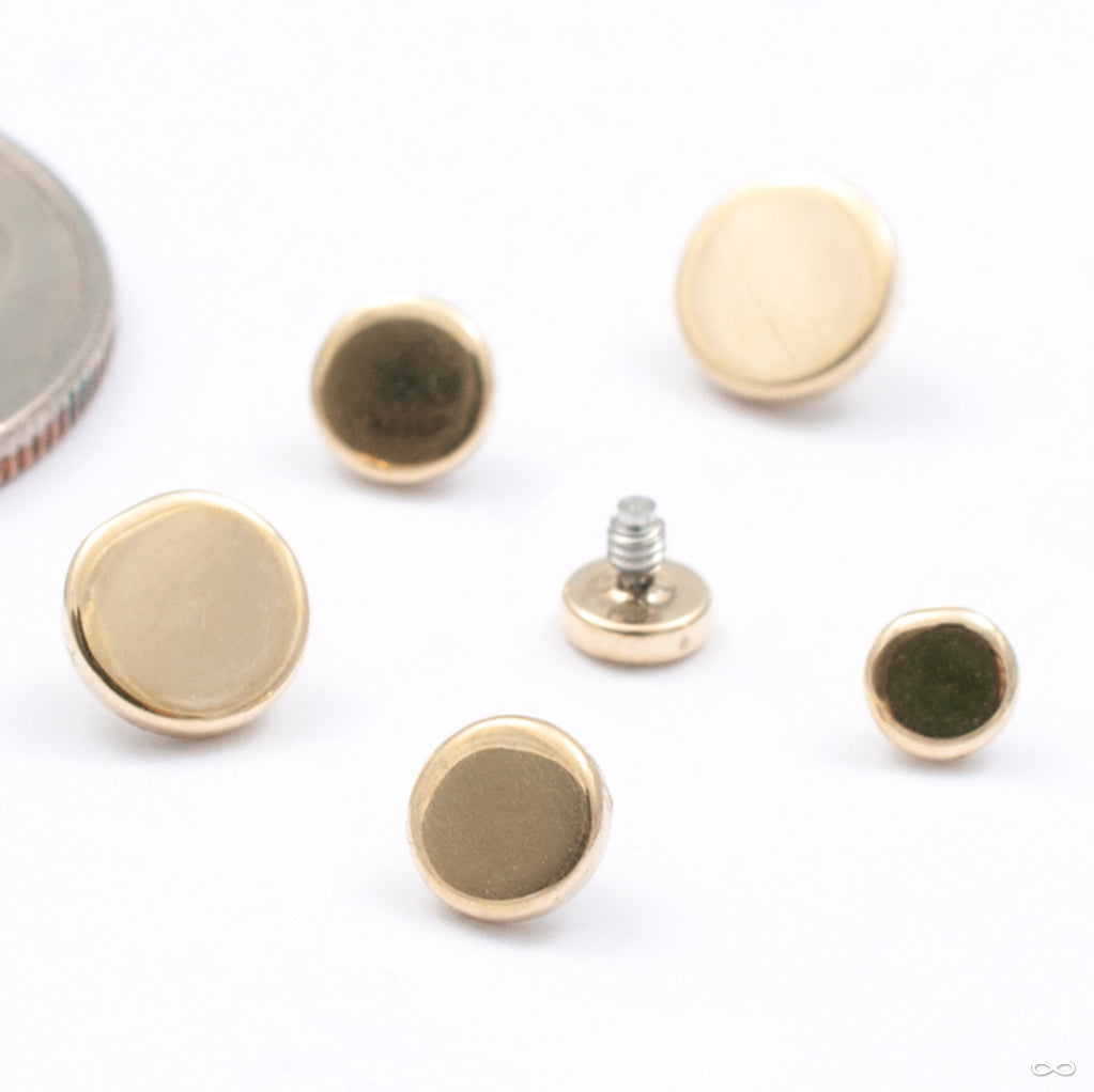 Disk Threaded End in Gold from Anatometal — Infinite Body Piercing, Inc.