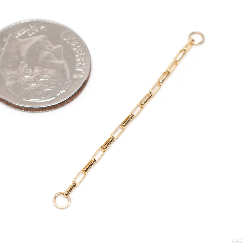 Paper Clip Chain in Gold from Hialeah — Infinite Body Piercing, Inc.