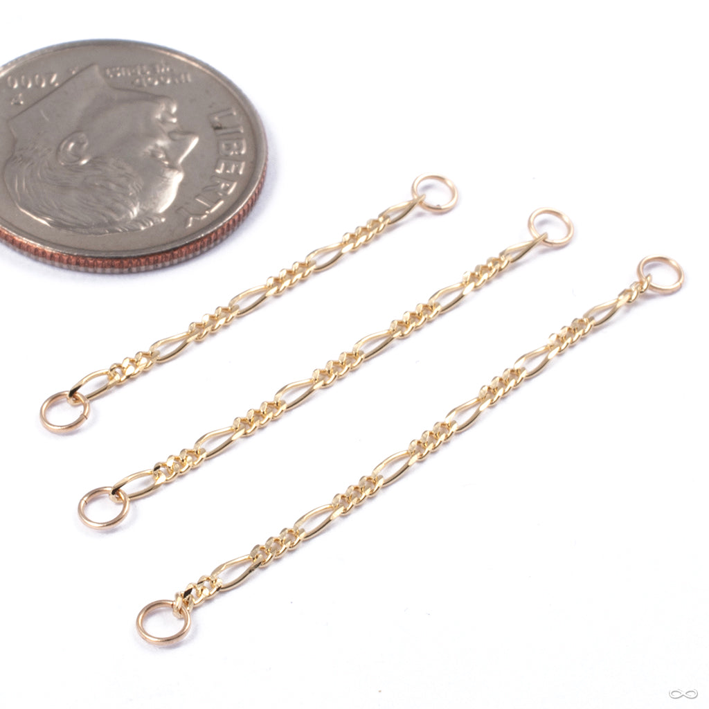 Papi Chain in Gold from Hialeah — Infinite Body Piercing, Inc.