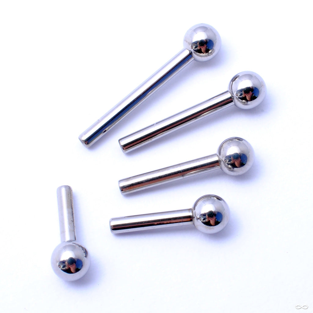 NeoMetal Body Jewelry — Infinite Body Piercing, Inc.