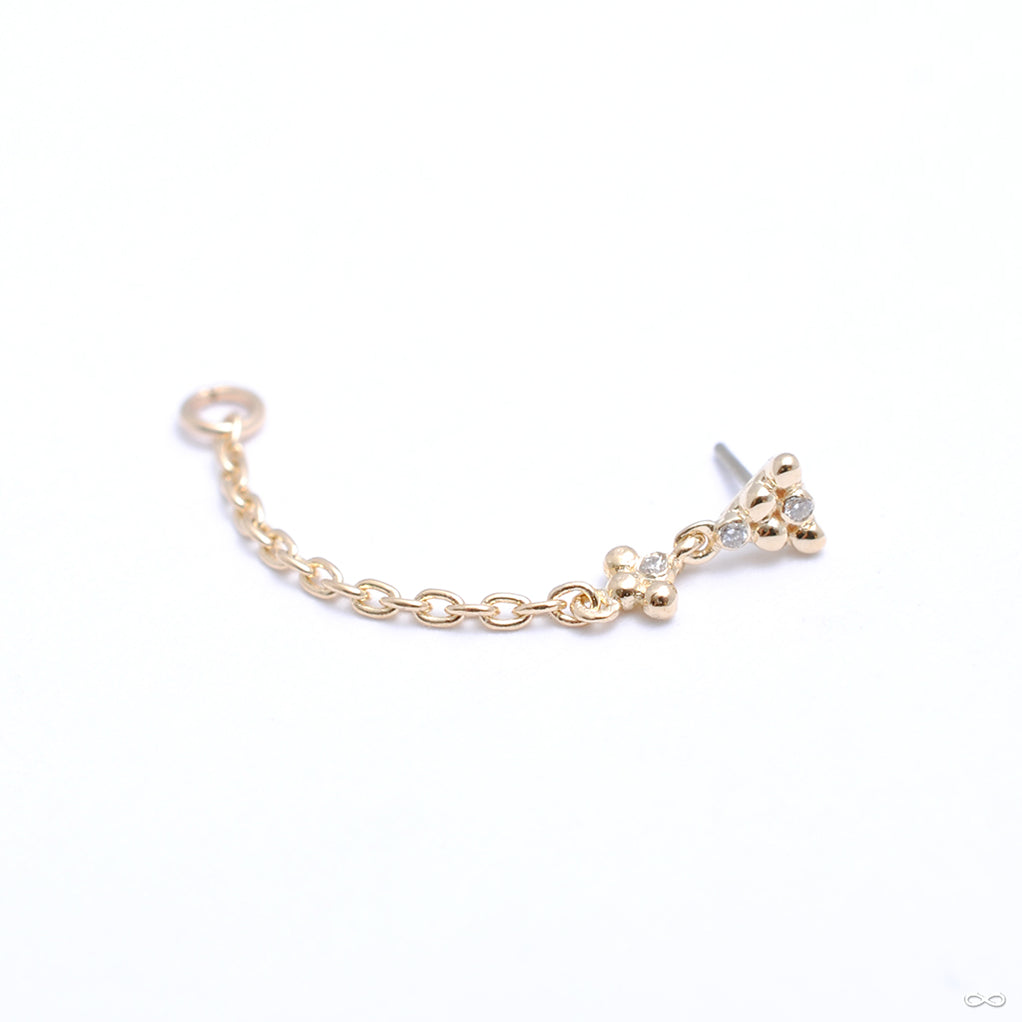 This & That Mini Lasso Press-fit End in Gold from Pupil Hall — Infinite ...