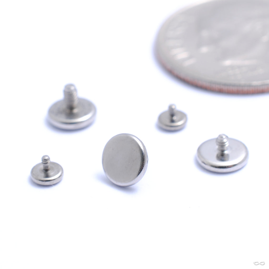 Disk Threaded End in Stainless Steel from Anatometal — Infinite Body ...