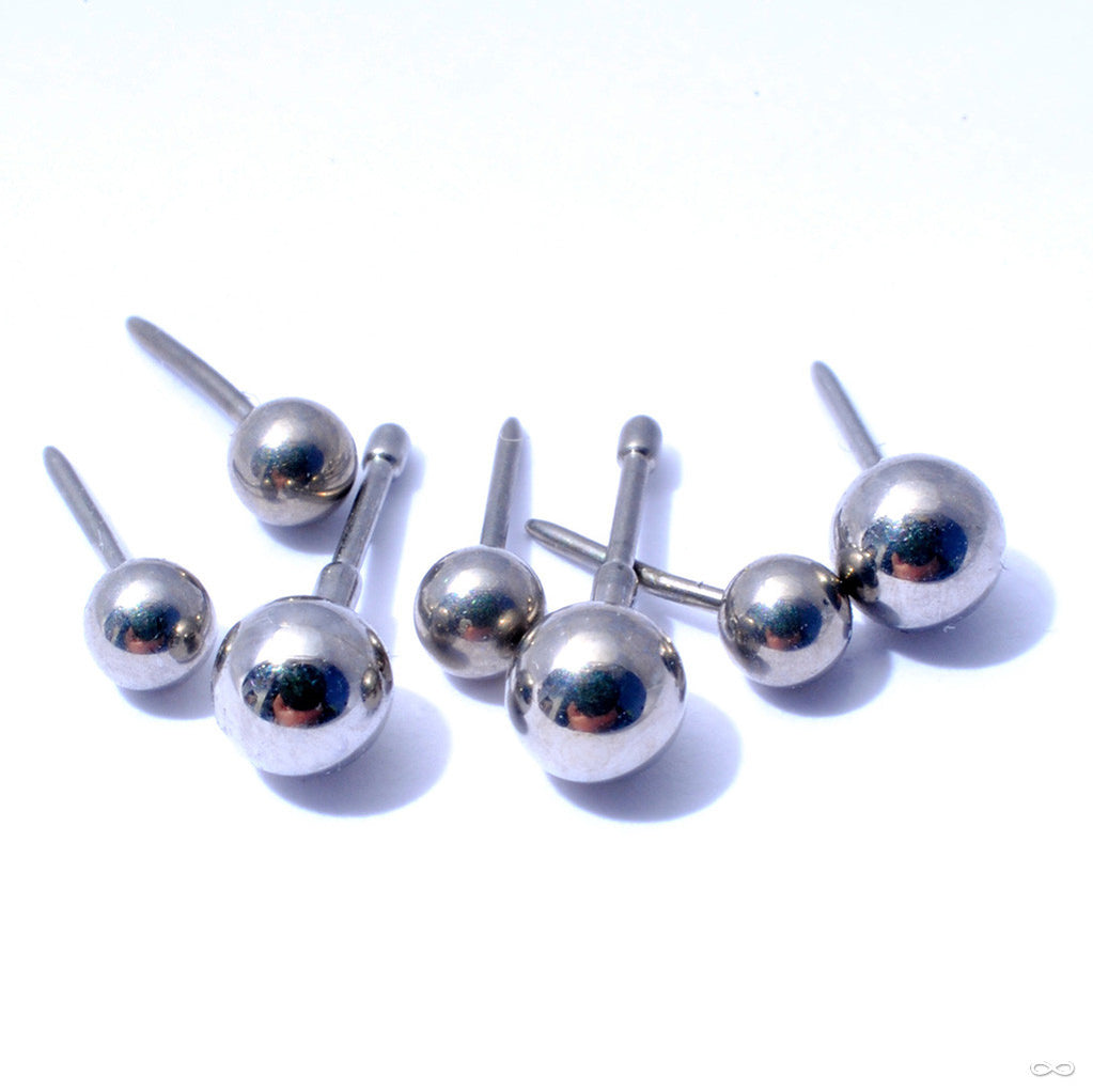 Ball Press-fit End in Titanium from NeoMetal — Infinite Body Piercing, Inc.
