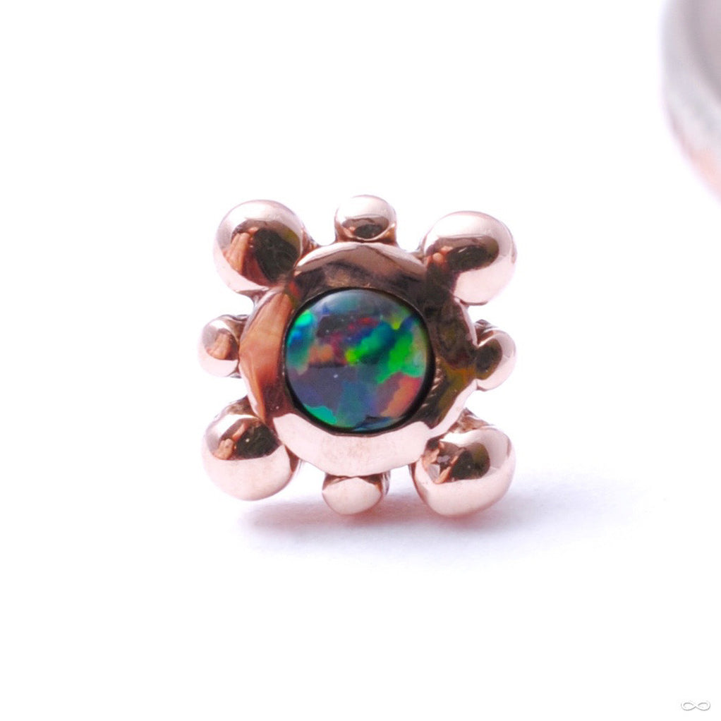 Bindi Press-fit End in Gold from LeRoi — Infinite Body Piercing, Inc.