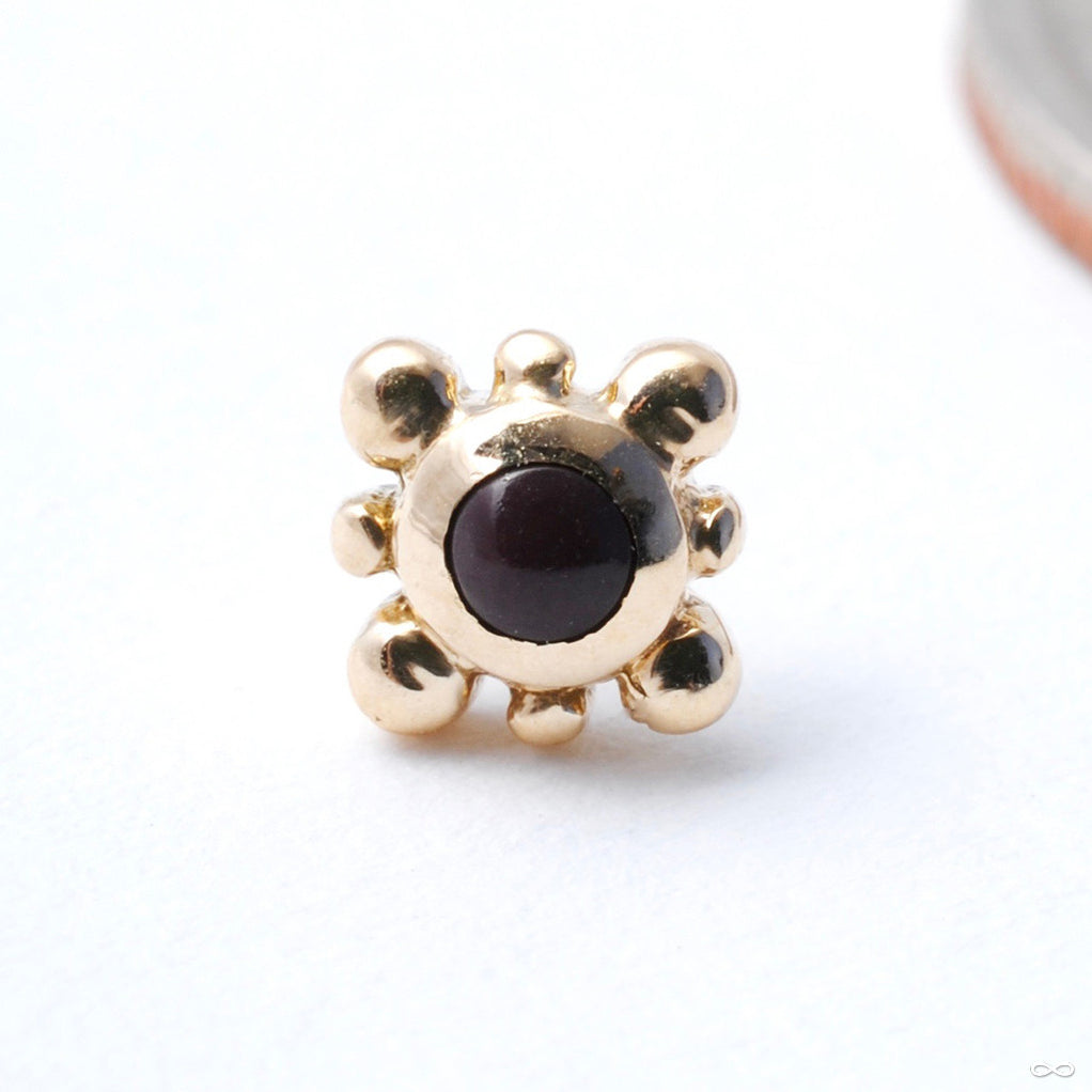 Bindi Press-fit End in Gold from LeRoi — Infinite Body Piercing, Inc.