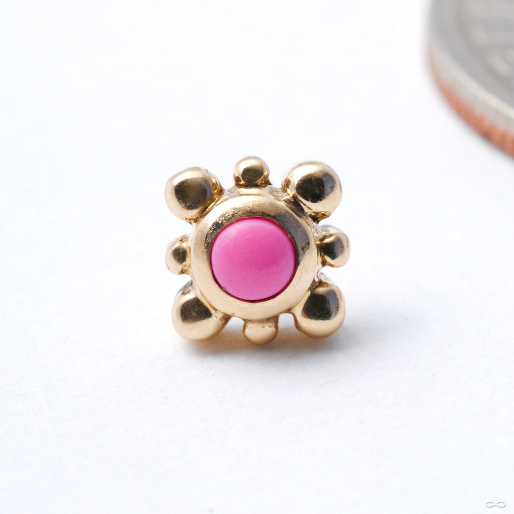 Bindi Press-fit End in Gold from LeRoi — Infinite Body Piercing, Inc.