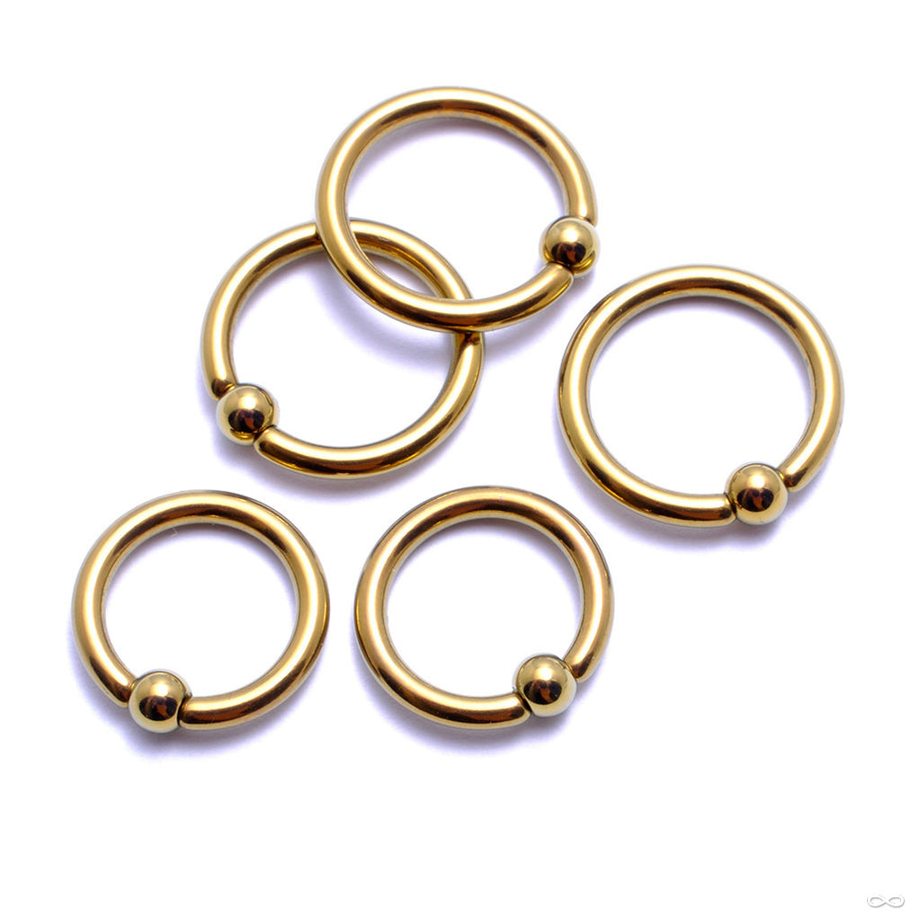 Captive Bead Ring in Niobium from SM 316 — Infinite Body Piercing, Inc.
