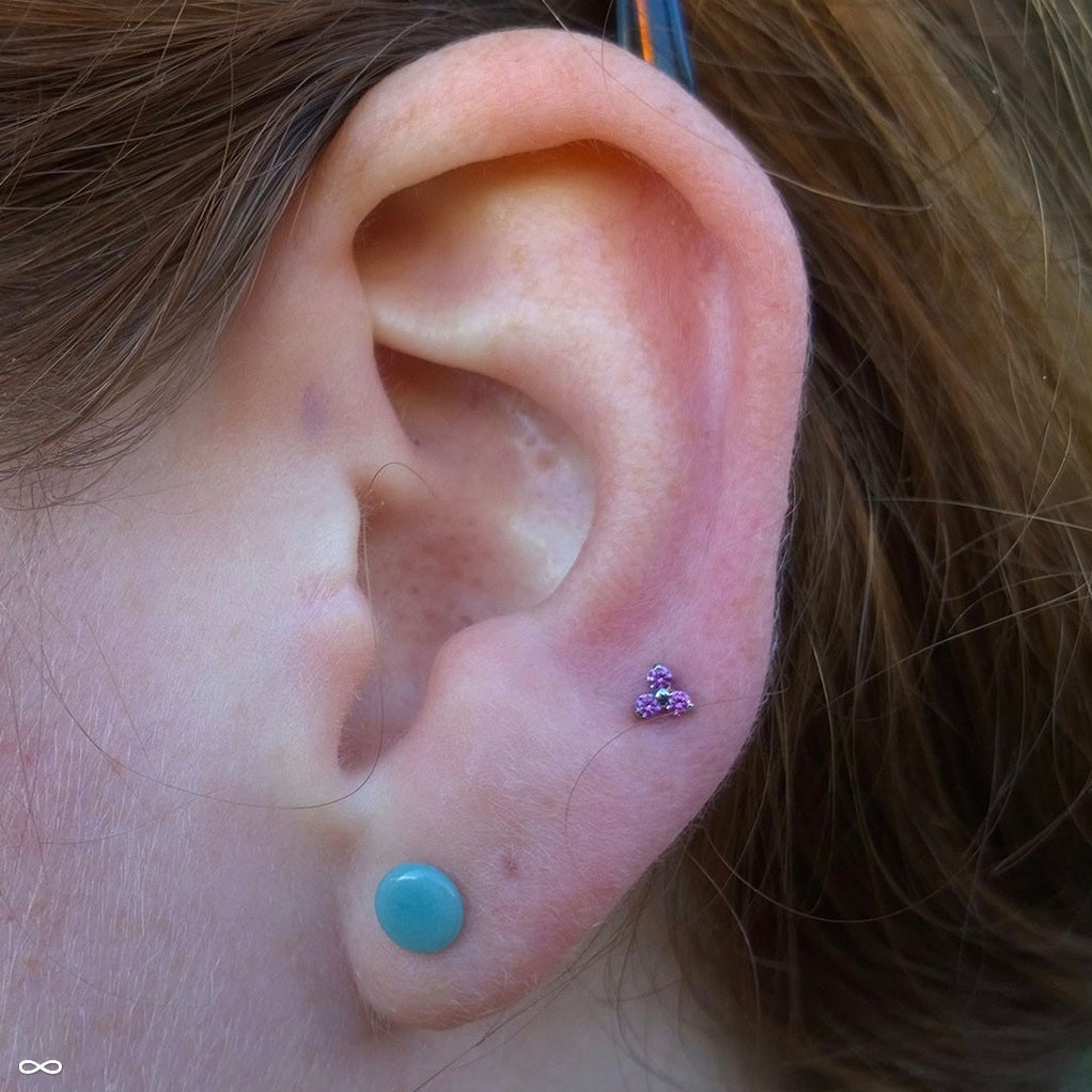 Trinity Press-fit End in Titanium from NeoMetal — Infinite Body ...