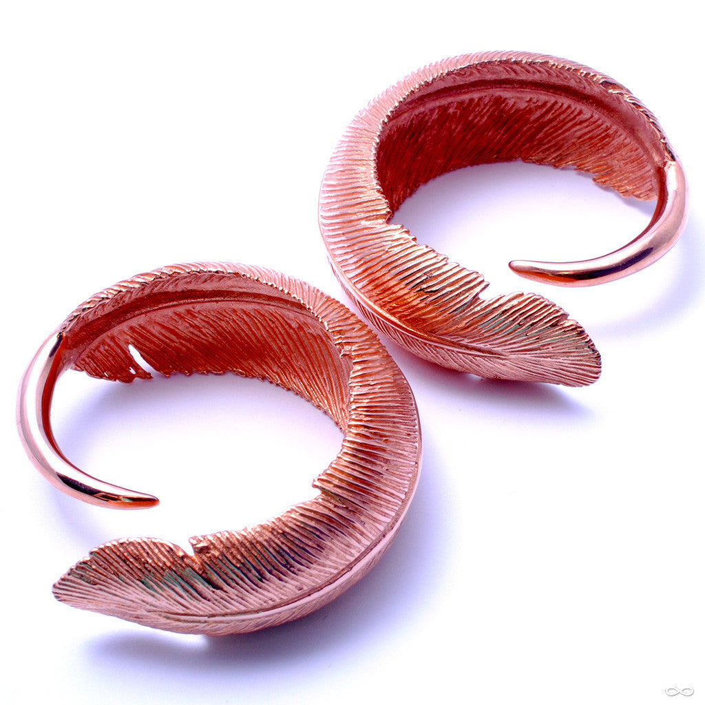 Fly from Maya Jewelry — Infinite Body Piercing, Inc.