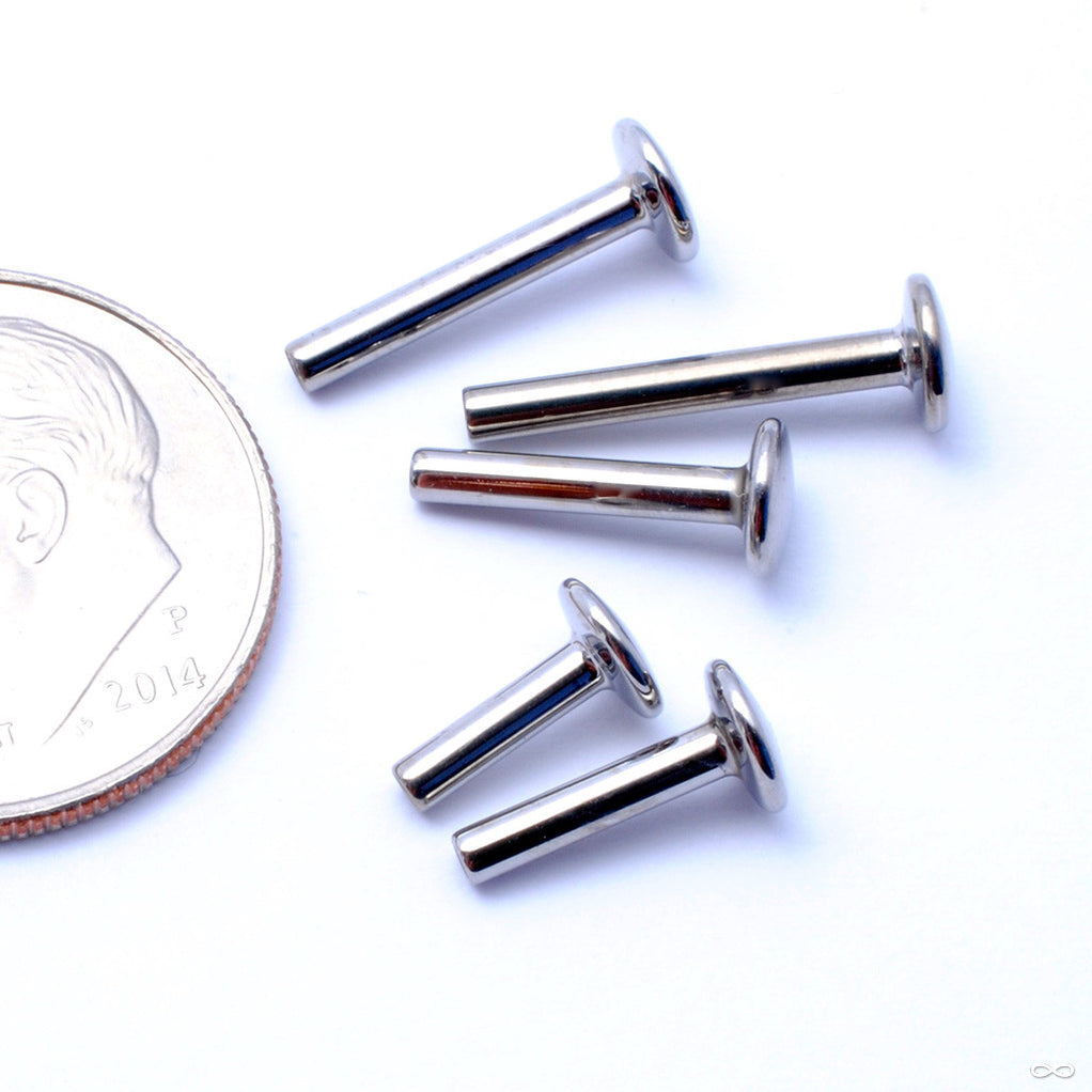 Press-fit Labret Post in Titanium from NeoMetal — Infinite Body ...