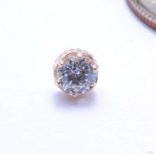 Queen Press-fit End in Gold from Anatometal — Infinite Body Piercing, Inc.